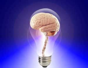 What are some famous examples of people whose curiosity led them to ...