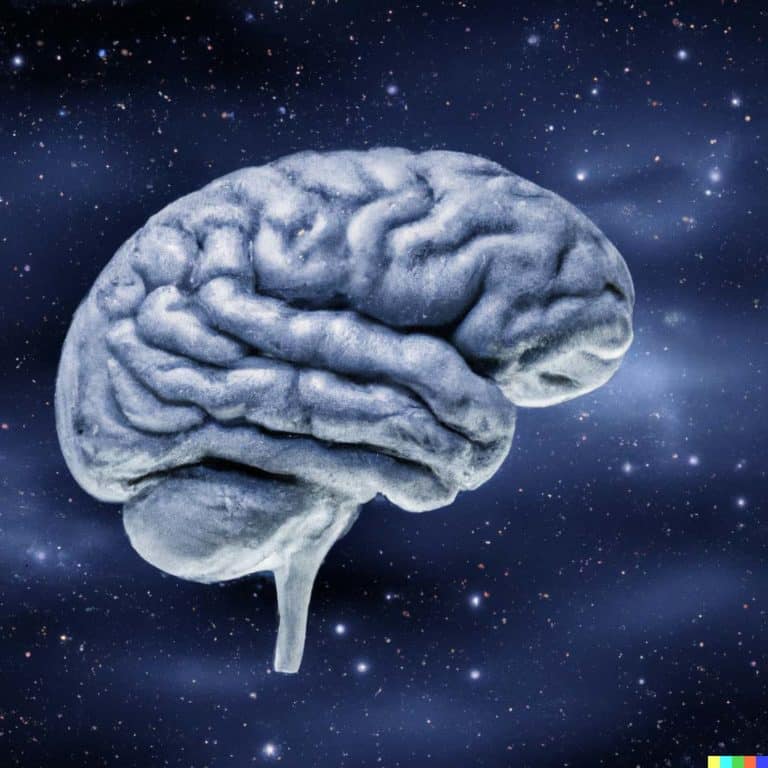 What happens during the pruning process in the brain, and why does it ...